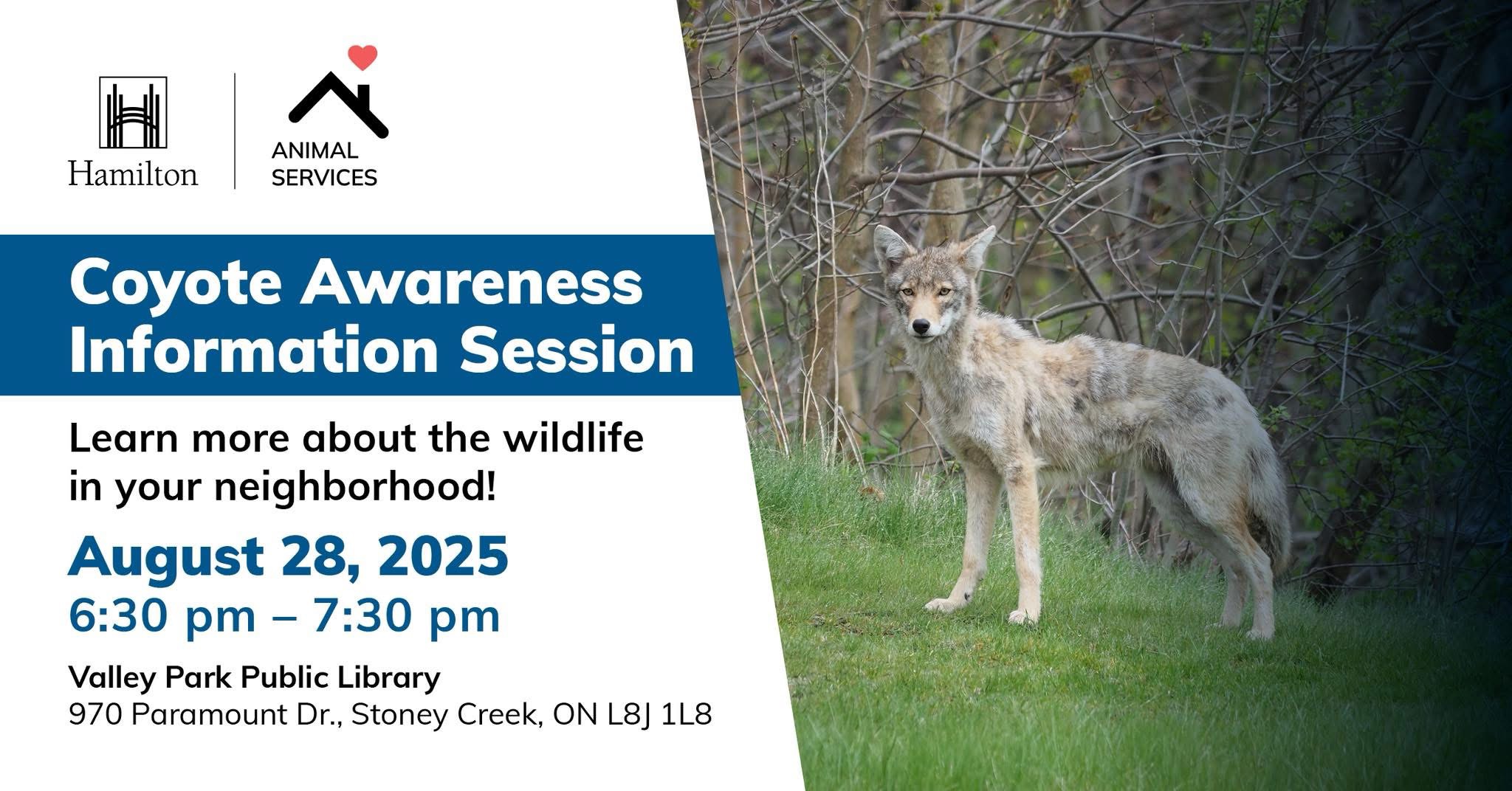 Coyote Awareness Information Session – Brad Clark Report